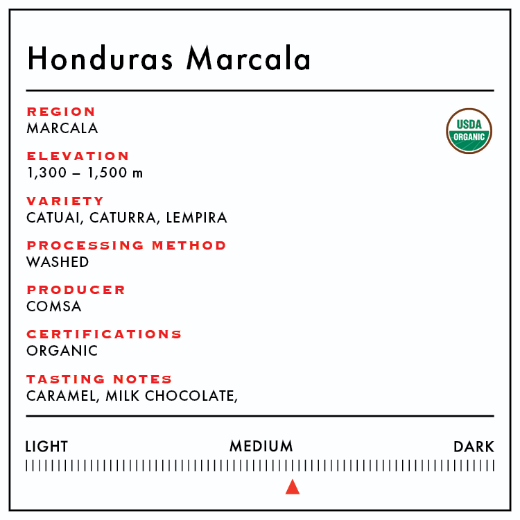 Honduras Marcala – Anodyne Coffee Roasting Co.